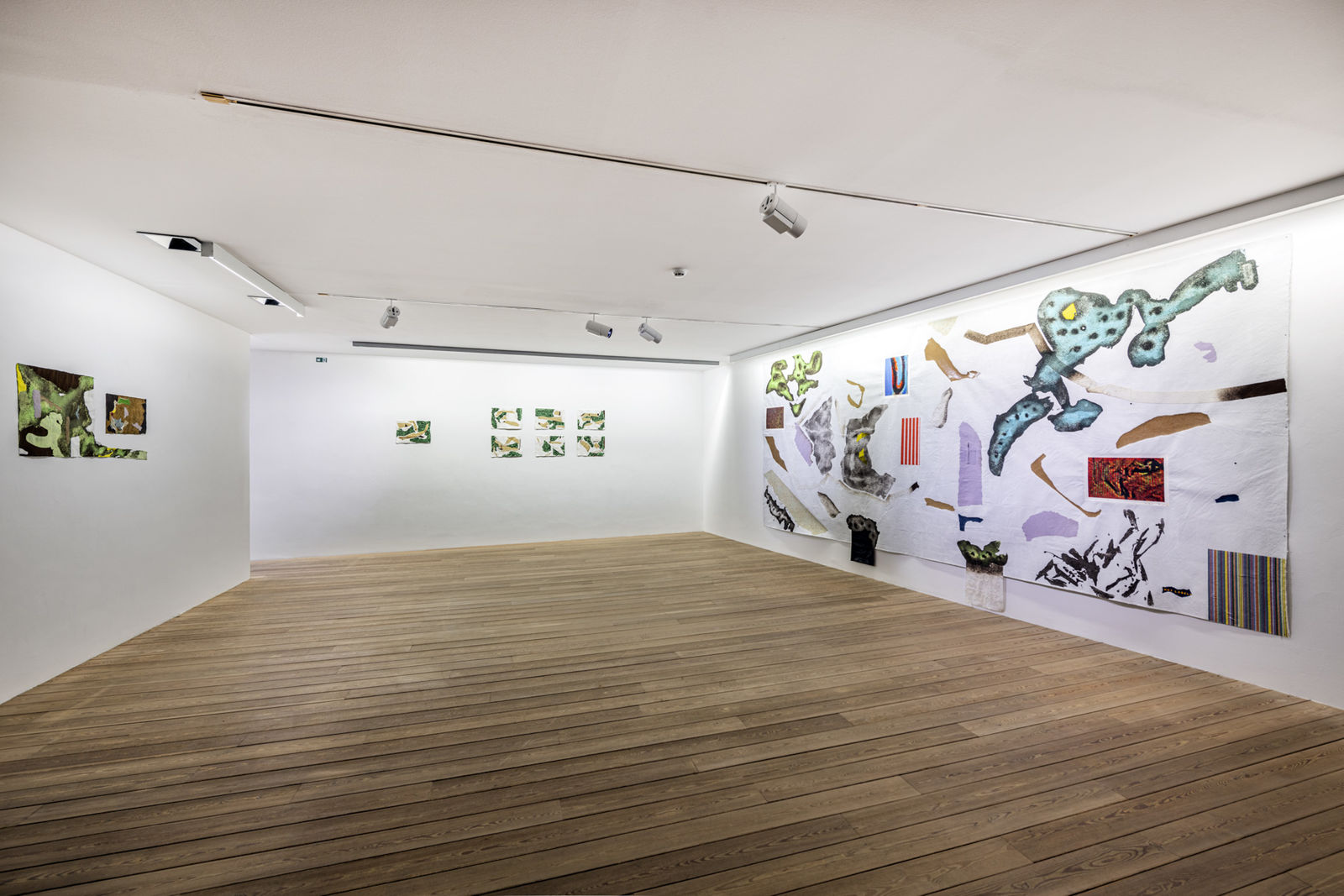 The Insubric Line - Preview