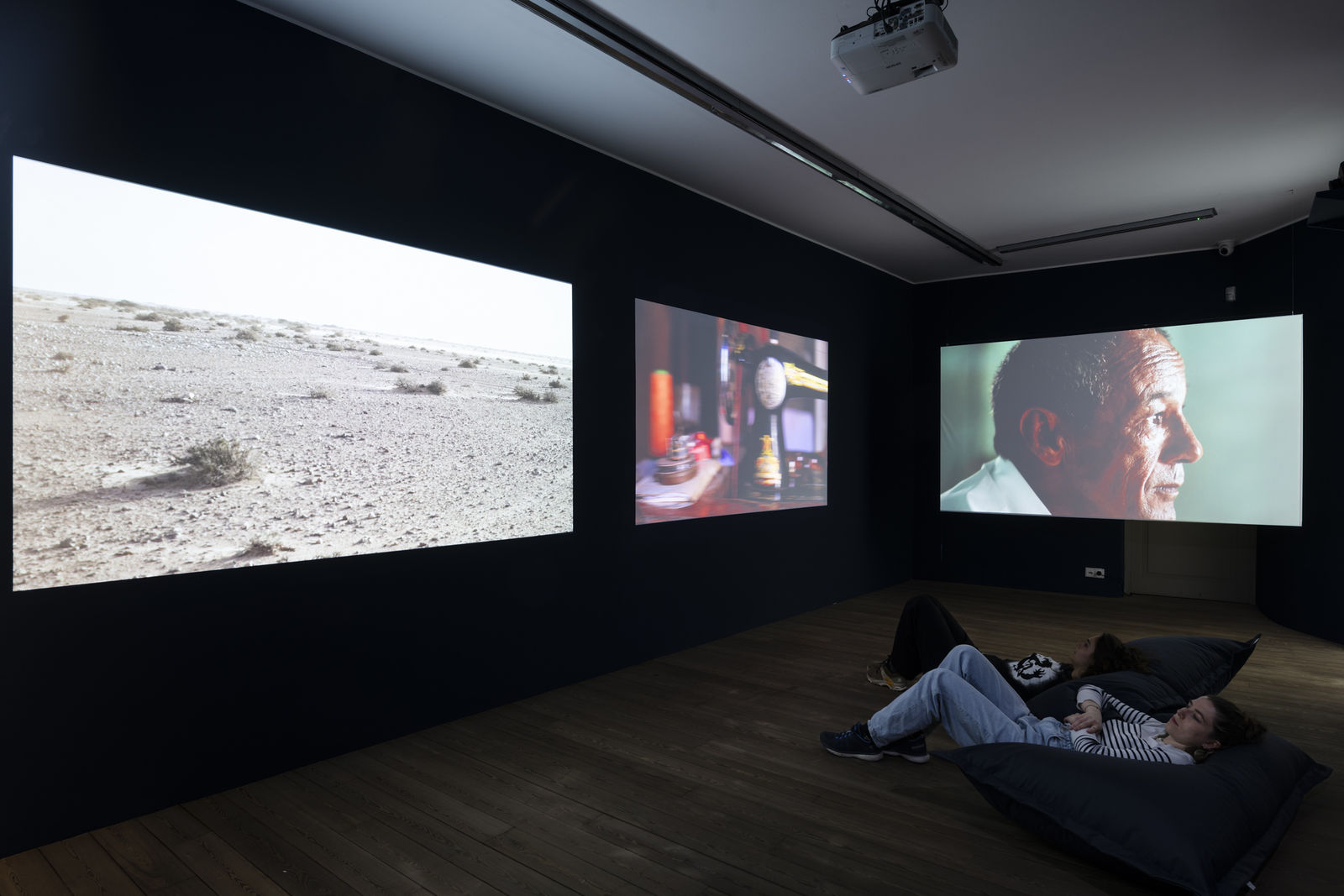 The Insubric Line - Preview