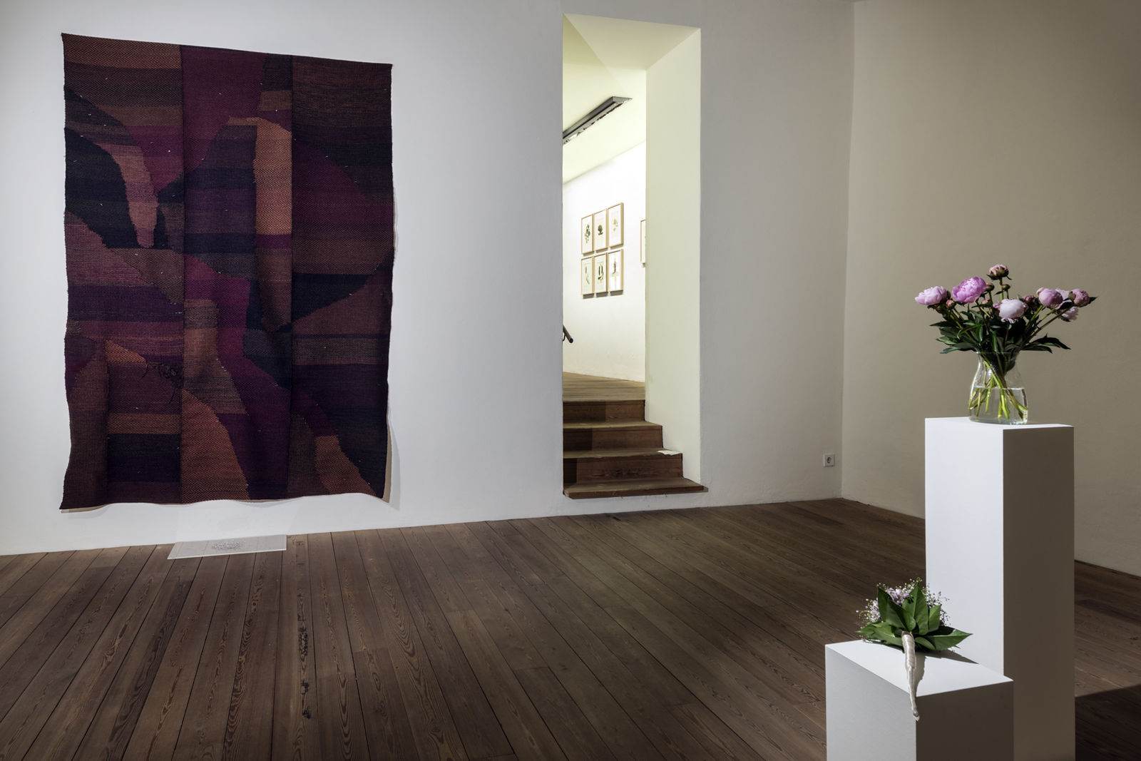 The Insubric Line - Preview