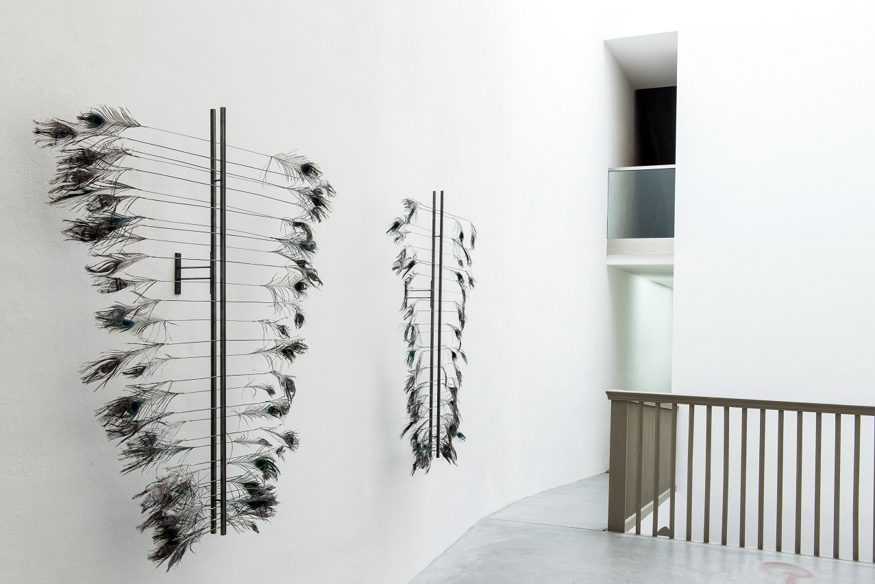 Into the Wild - Preview