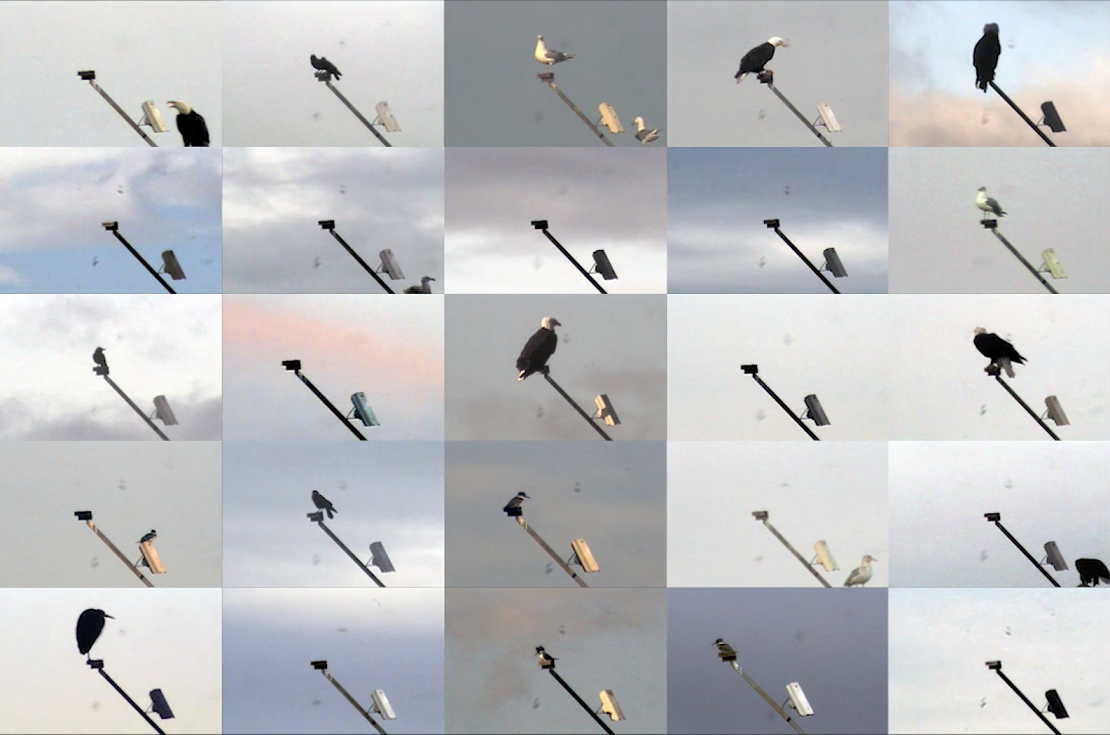 Irene Fenara. Distant eyes - Vorschau